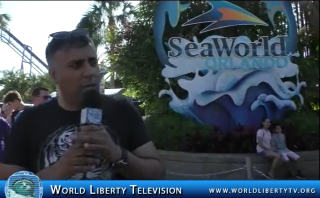 Seaworld Orlando Florida,Dolphin Sea lion & Whales Show | World Liberty ...