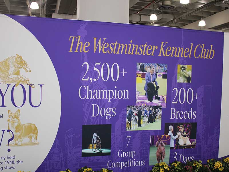 American Kennels Club’s Meet the Breeds NYC-2025