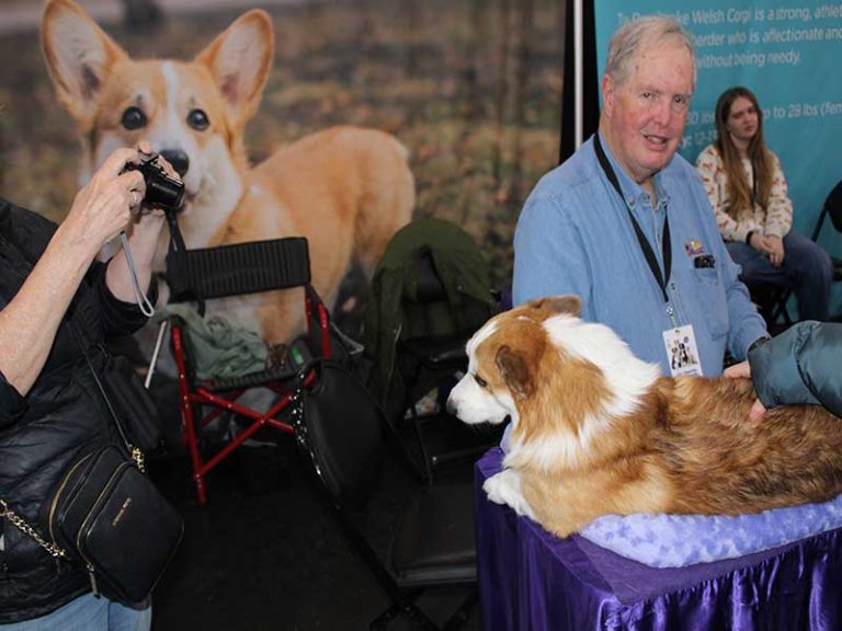 American Kennels Club’s Meet the Breeds NYC-2025
